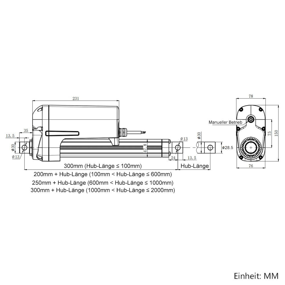 Schwerlast Linearantrieb 12V 24V mit Fernbedienung für Kellertür 12000N ...